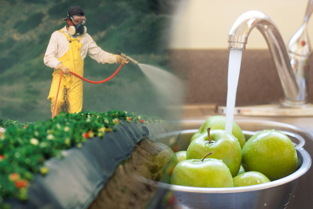 6 triků, jak nejlépe odstranit pesticidy z potravin - Biolekar.cz