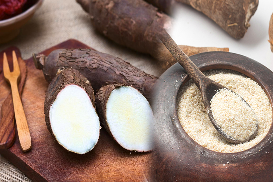 Maniok, zdroj síly a zdraví indiánů Jižní Ameriky - Biolekar.cz