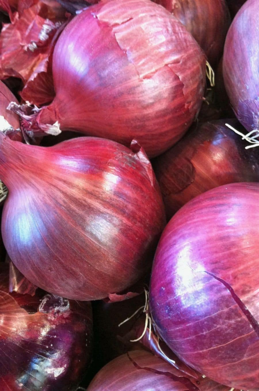 Jezte více červené cibule, její účinky vás ohromí - Biolekar.cz