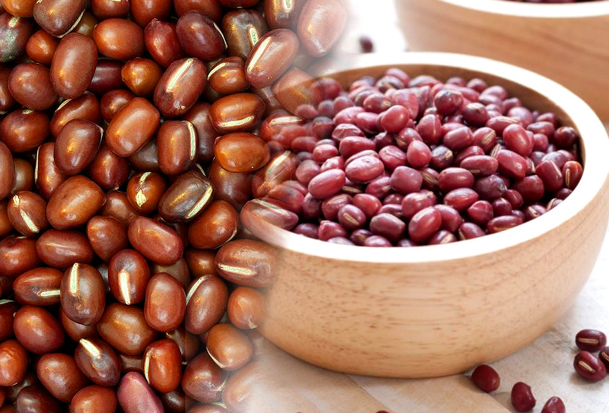 Zdravotní přínosy fazolí Adzuki a jak je používat - Biolekar.cz